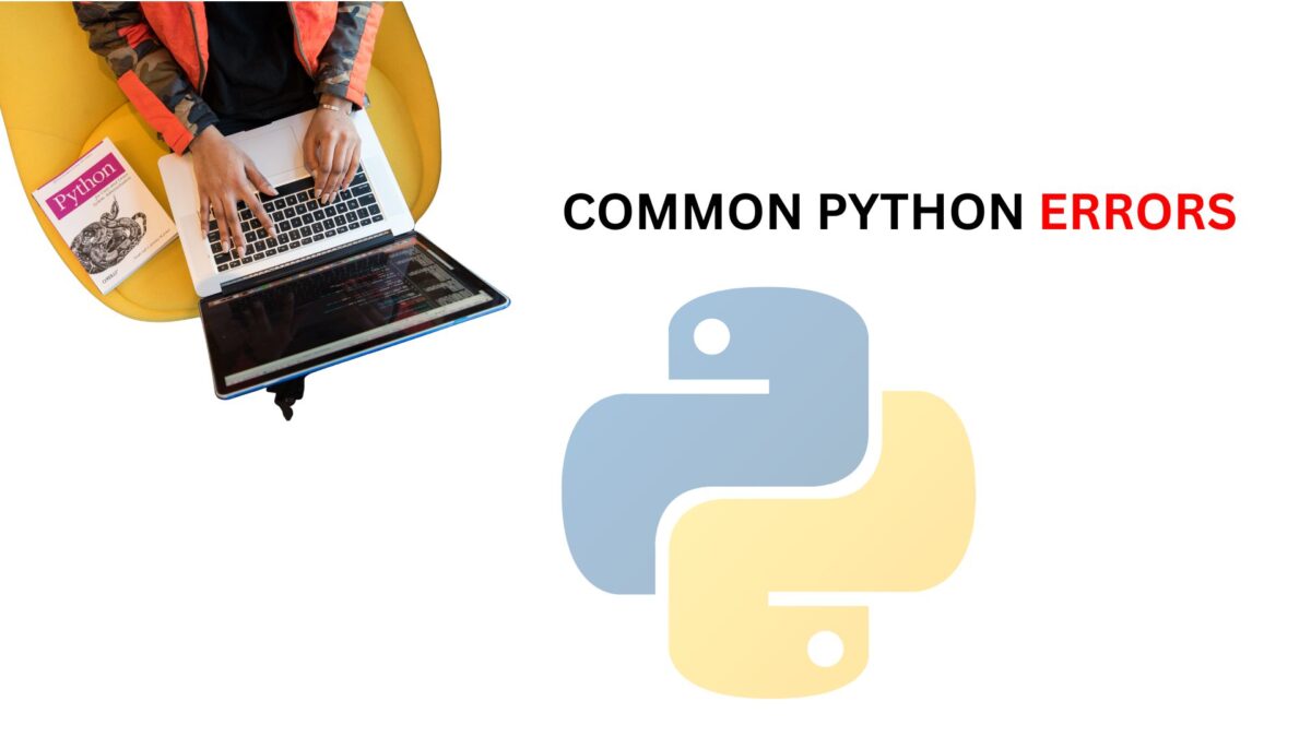 Common Python Errors (1) - softloom